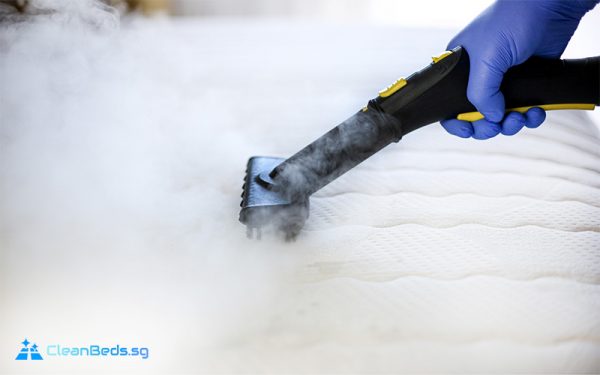 Understanding Early Signs of a Bed Bug Infestation | Cleanbeds